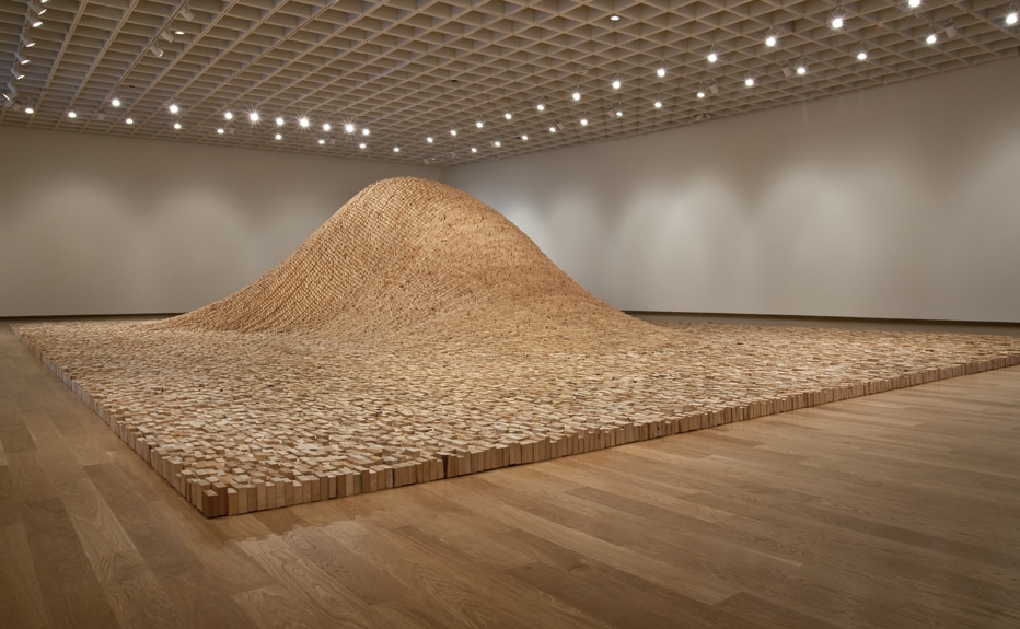 Maya Lin: A History of Water - Orlando Museum of Art