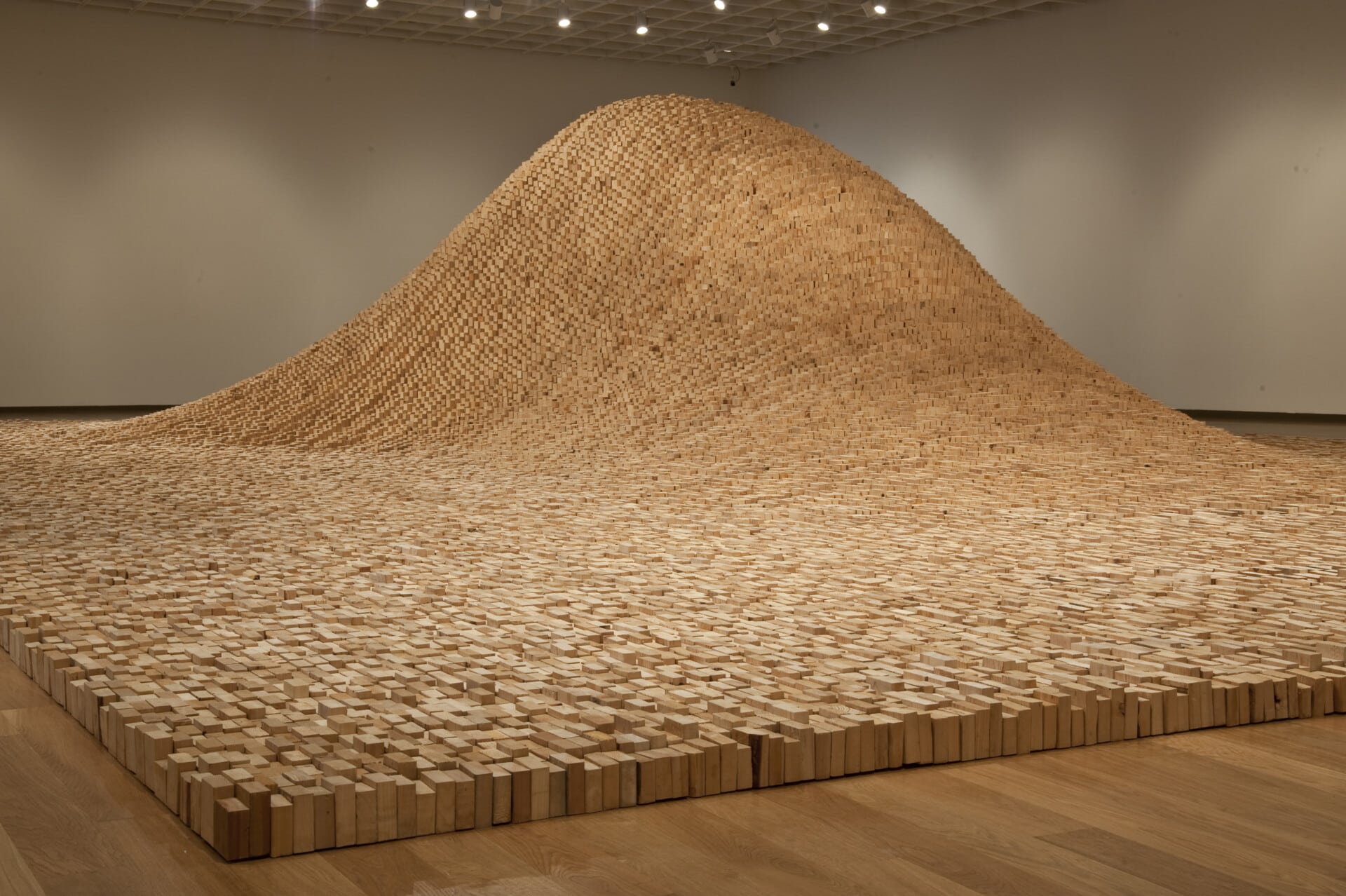 Maya Lin Exhibition at the Orlando Museum of Art