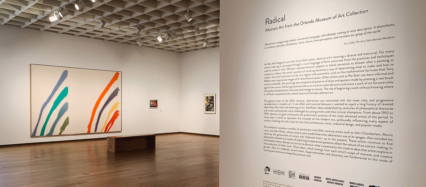 Radical: Abstract Art from the Orlando Museum of Art