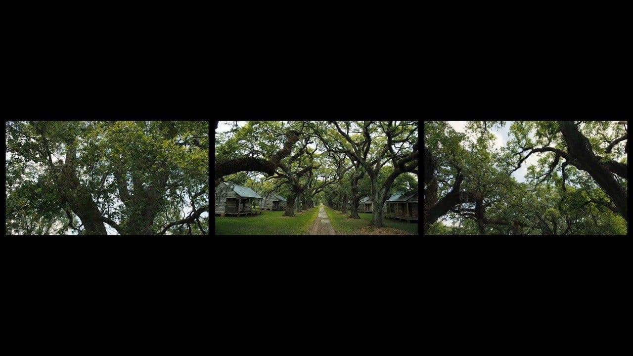 Exhibitions: Dawoud Bey's Evergreen